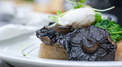 Places to eat Dunedin, Cafe lunch, catering in Dunedin